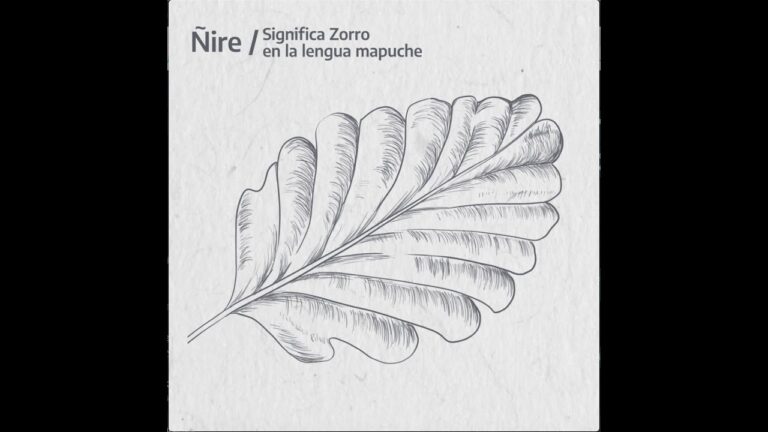 Beneficios de Ñire: Descubre las ventajas de esta especie de árbol