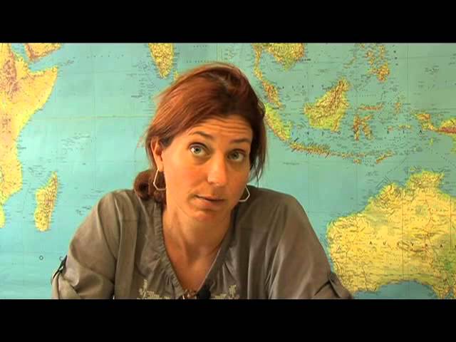 Beneficios de la Chaga TLC: ¿Para qué sirve?