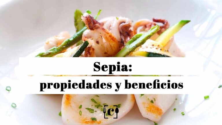 Beneficios de la jibia para la salud