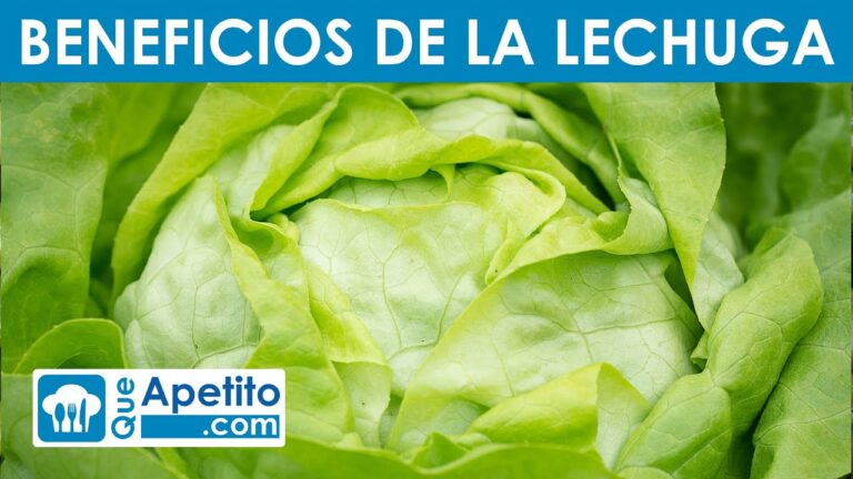 Beneficios de la lechuga iceberg: descubre sus propiedades y beneficios ...