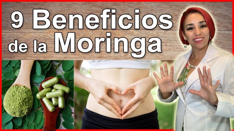 Beneficios de la moringa: descubre las propiedades y usos de esta planta milagrosa