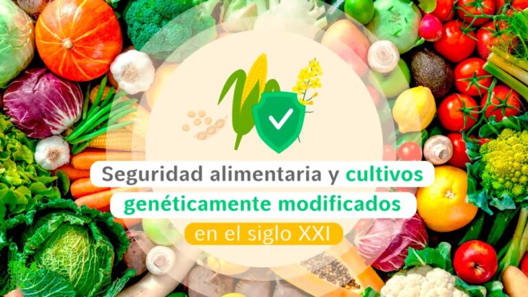 Beneficios de los GMO: Mejorando la producción y la seguridad alimentaria