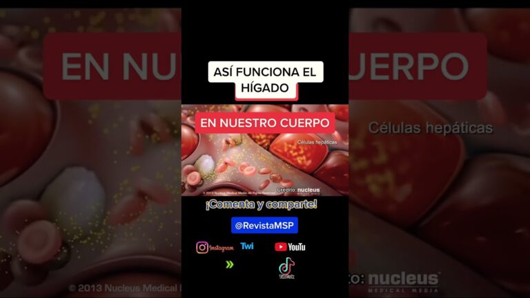 Beneficios de tomar Kufer Q Forte: ¿Qué debes saber?