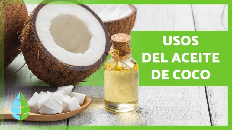 Beneficios del aceite de coco: descubre sus propiedades y usos