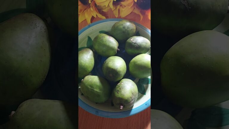 Beneficios del jobo para la salud