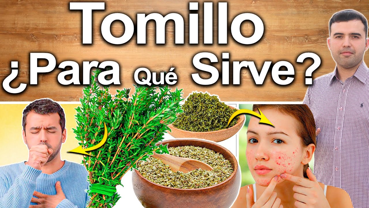 Beneficios del tomillo: ¿Para qué sirve esta planta medicinal?