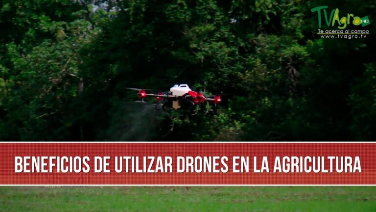 Beneficios de fumigar con dron: eficiencia y precisión en la agricultura