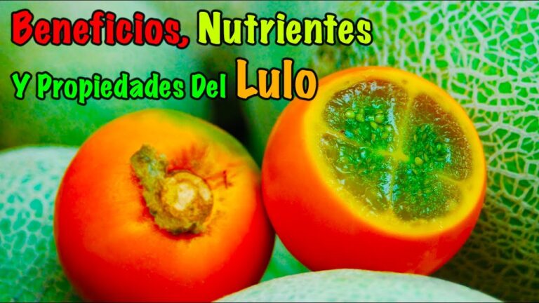 Beneficios del lulo para la salud y el bienestar