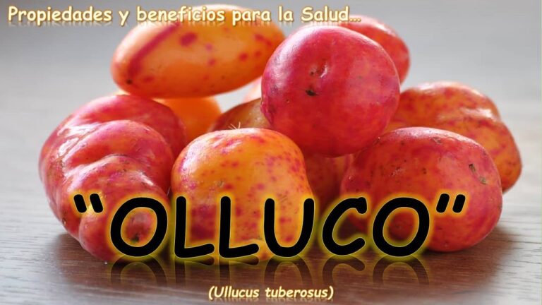 Beneficios del olluco: propiedades y usos
