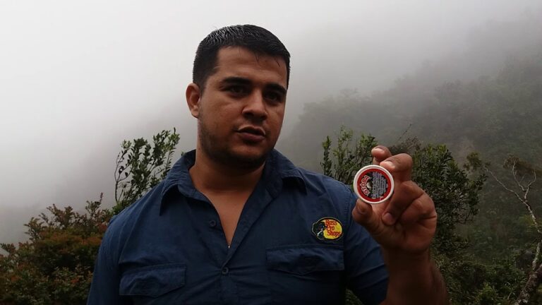 Beneficios del uso de la otoba