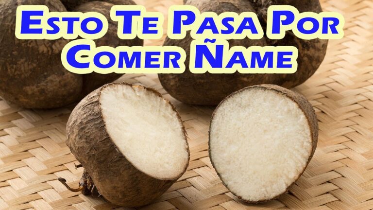 Beneficios del wild yam: todo lo que debes saber