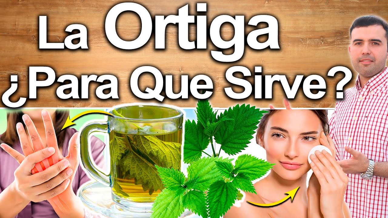 Beneficios de la ortiga para la próstata: ¿Cómo puede ayudarte esta ...