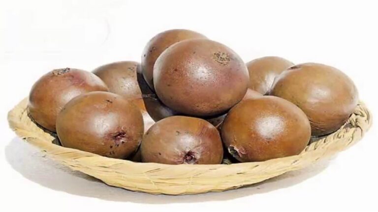 Beneficios del borojo: propiedades y usos