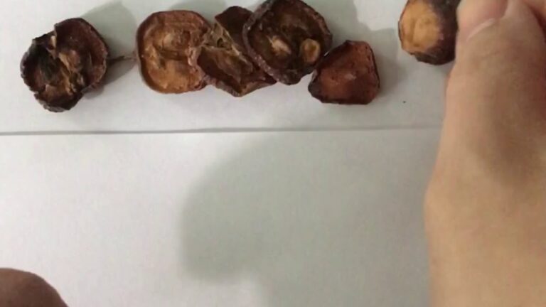 Beneficios de consumir Shan Zha