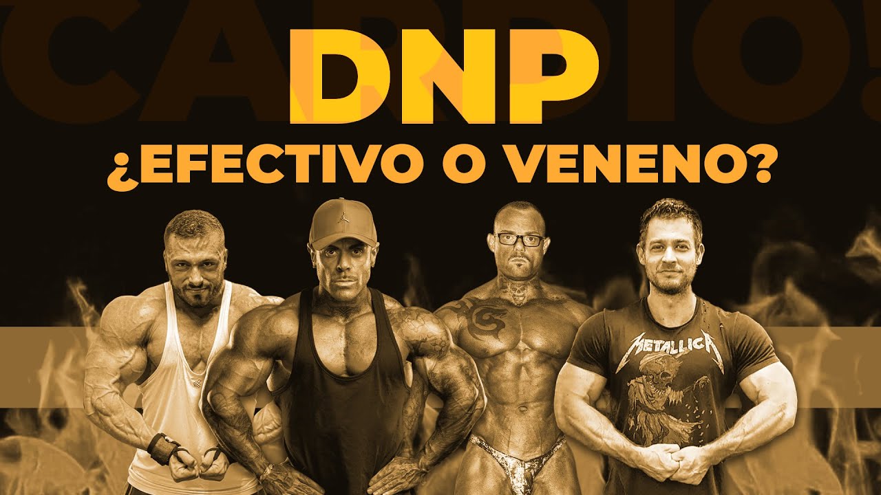 Beneficios del DNP: ¿Qué ventajas ofrece este suplemento?