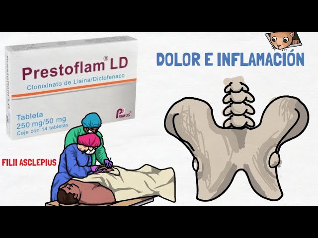 Beneficios del Prestoflam LD: ¿Por qué elegir este producto para tu ...